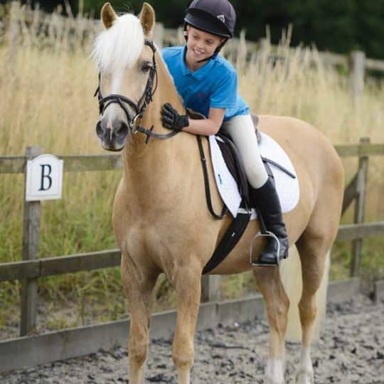 Fun Pony Quizzes | Test your horsey knowledge | Pony Magazine