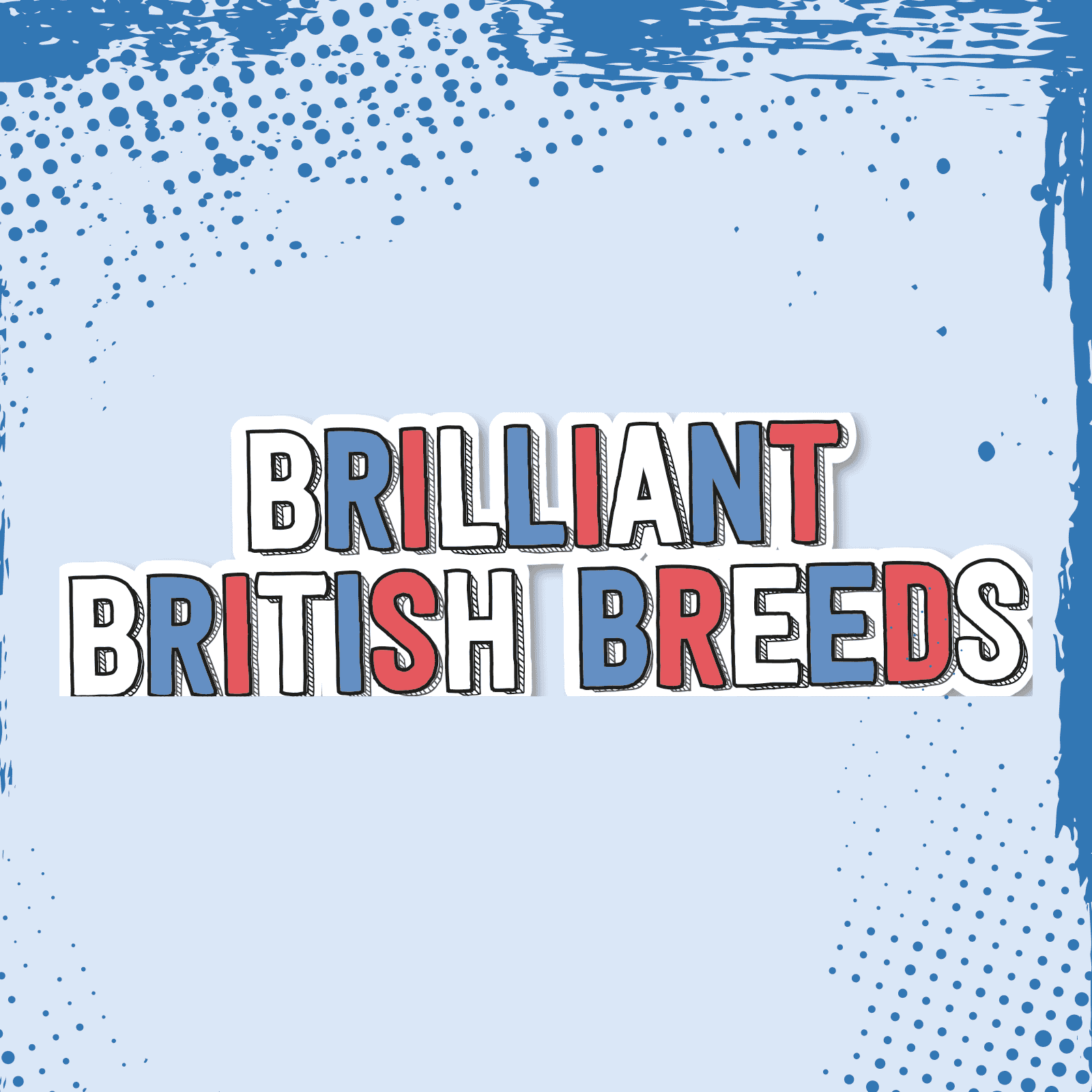 JAN25_Brilliant-british-breeds | Pony Magazine