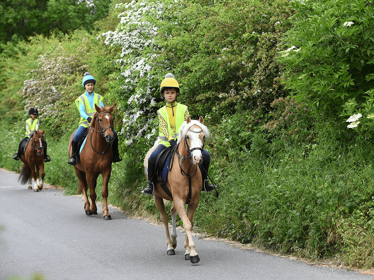 Ten super-fun things to do with your pony | Pony Magazine