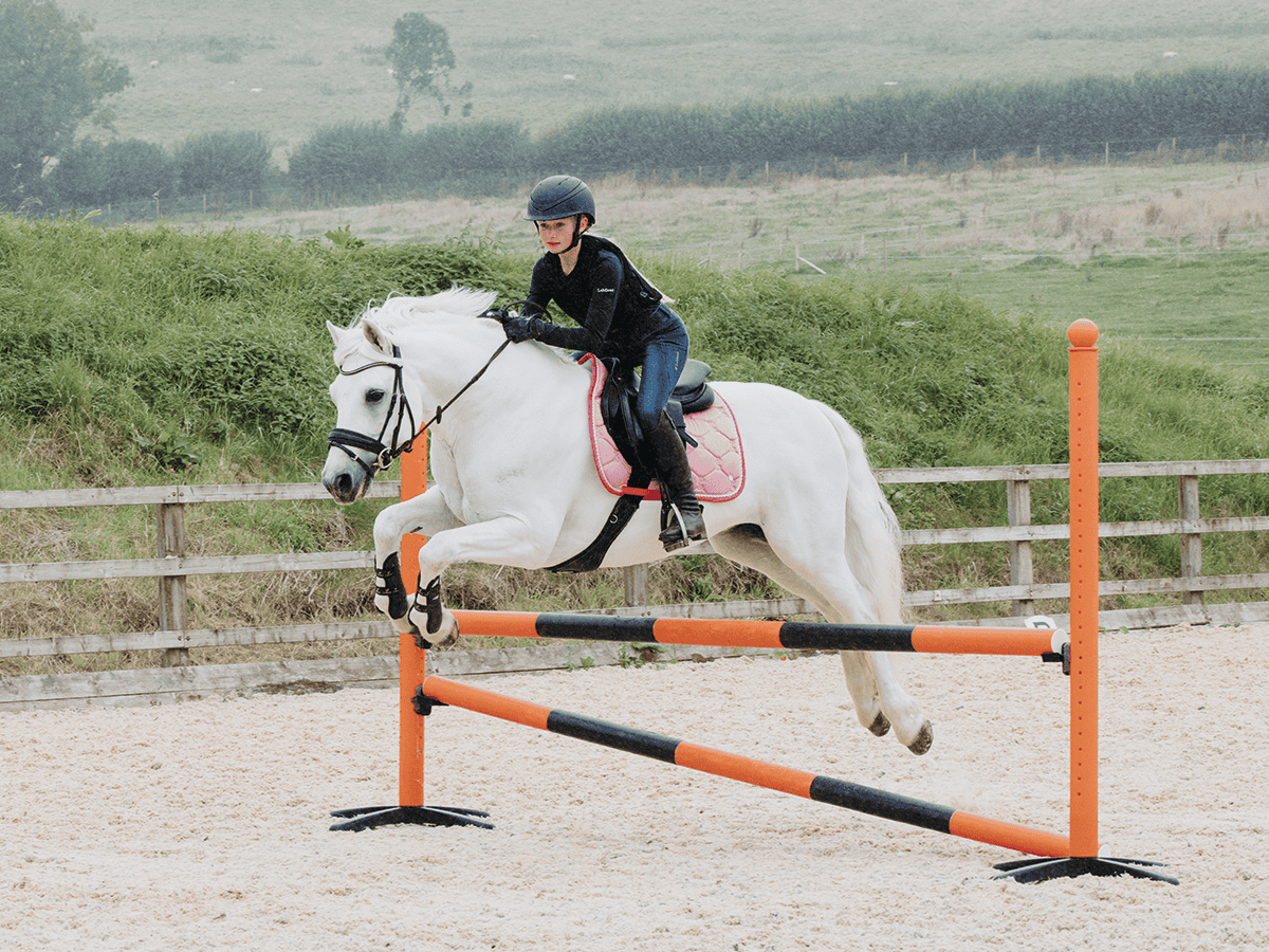 Jump around | Pony Magazine