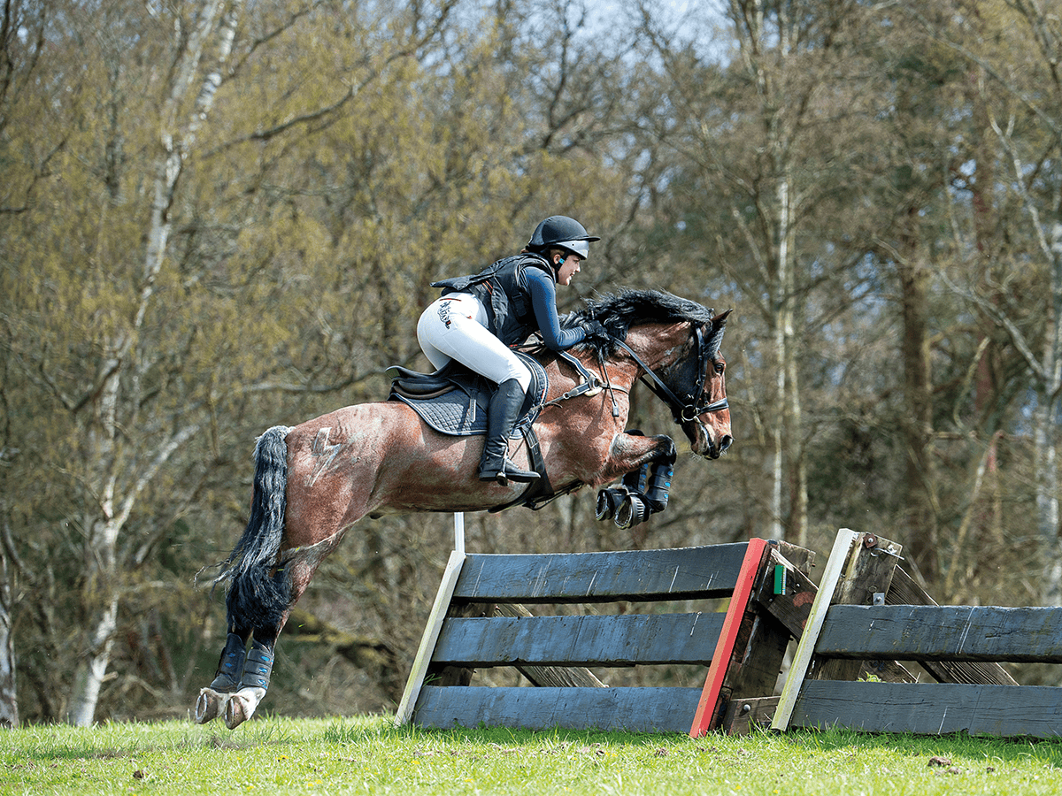 The ultimate cross-country fence quiz! | Pony Magazine