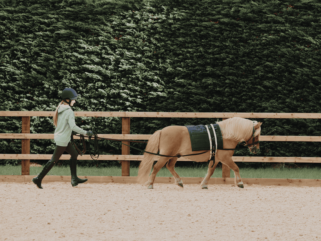 Keeping your pony moving | Pony Magazine