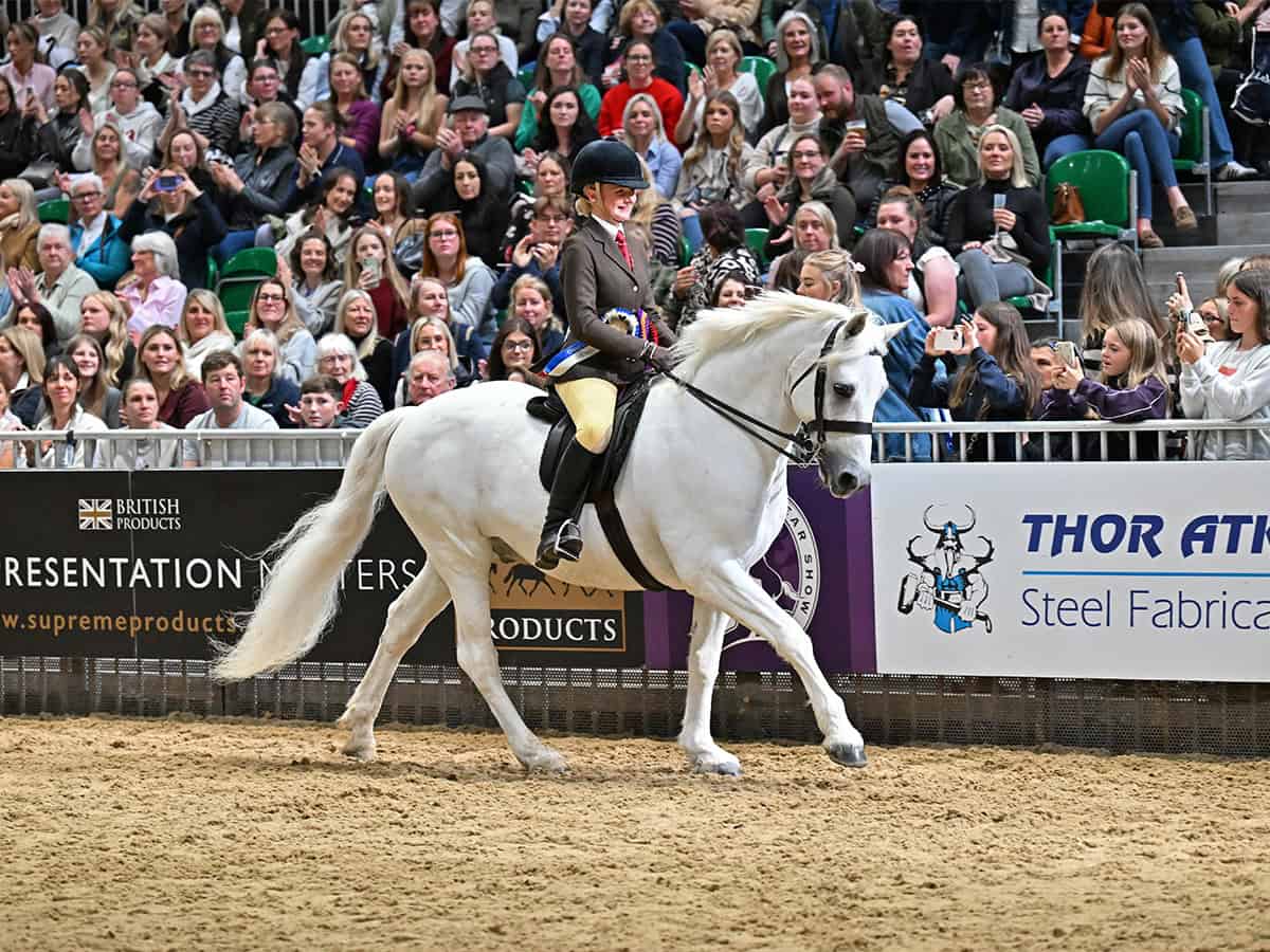 Harlow and Panda take HOYS by storm with their first big win! | Pony ...